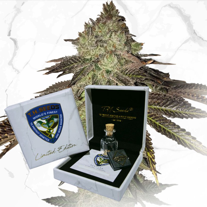 Gelato 33 x Birthday Cake x Strawbanana Cream – Pure Genusskraft ...